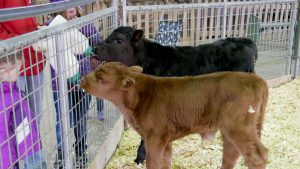 Attractions + Activities - City of Overland Park, Kansas