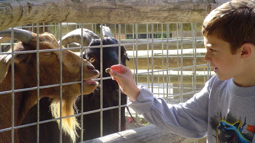 Attractions + Activities - City of Overland Park, Kansas