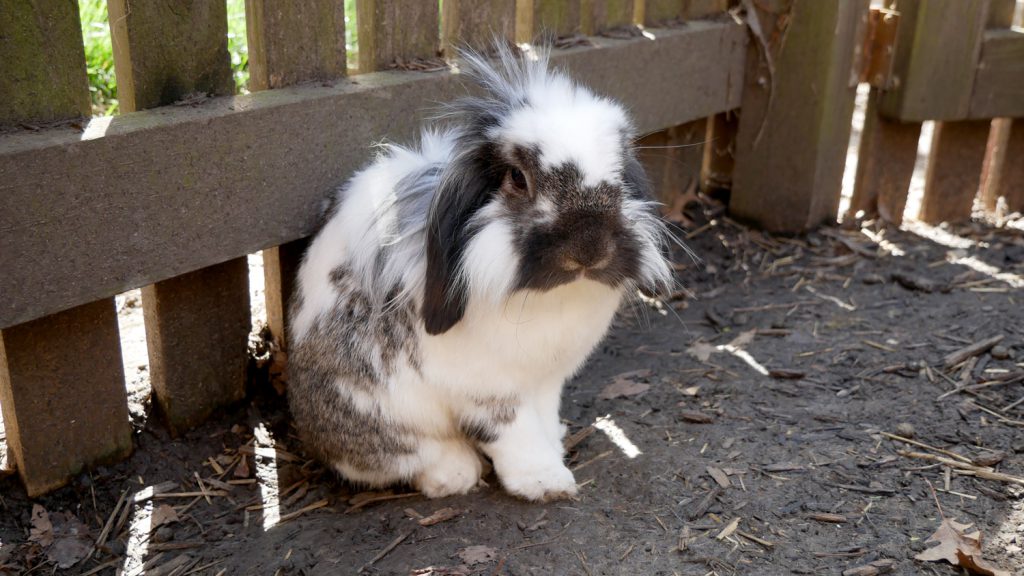 Attractions + Activities - City of Overland Park, Kansas