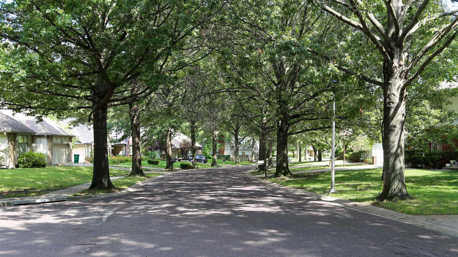 Forestry - City of Overland Park, Kansas