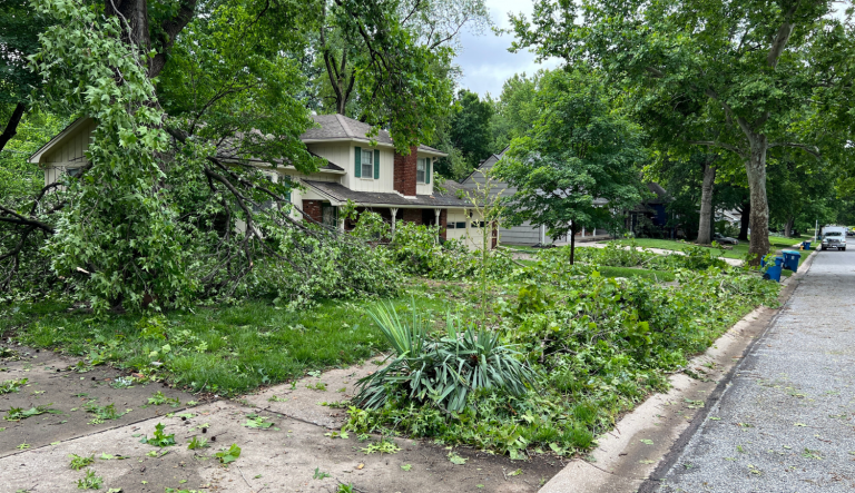 Storm debris drop-off for July 14 storm - City of Overland Park, Kansas