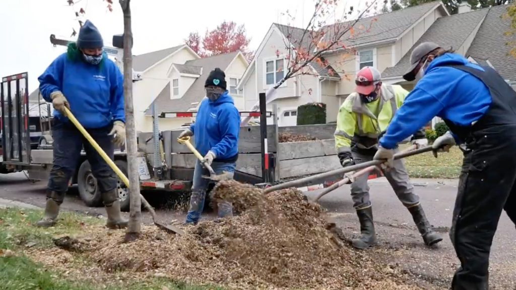 Ash Tree Removal Program - City of Overland Park, Kansas