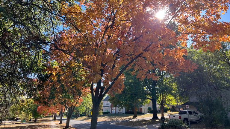 Home - City of Overland Park, Kansas